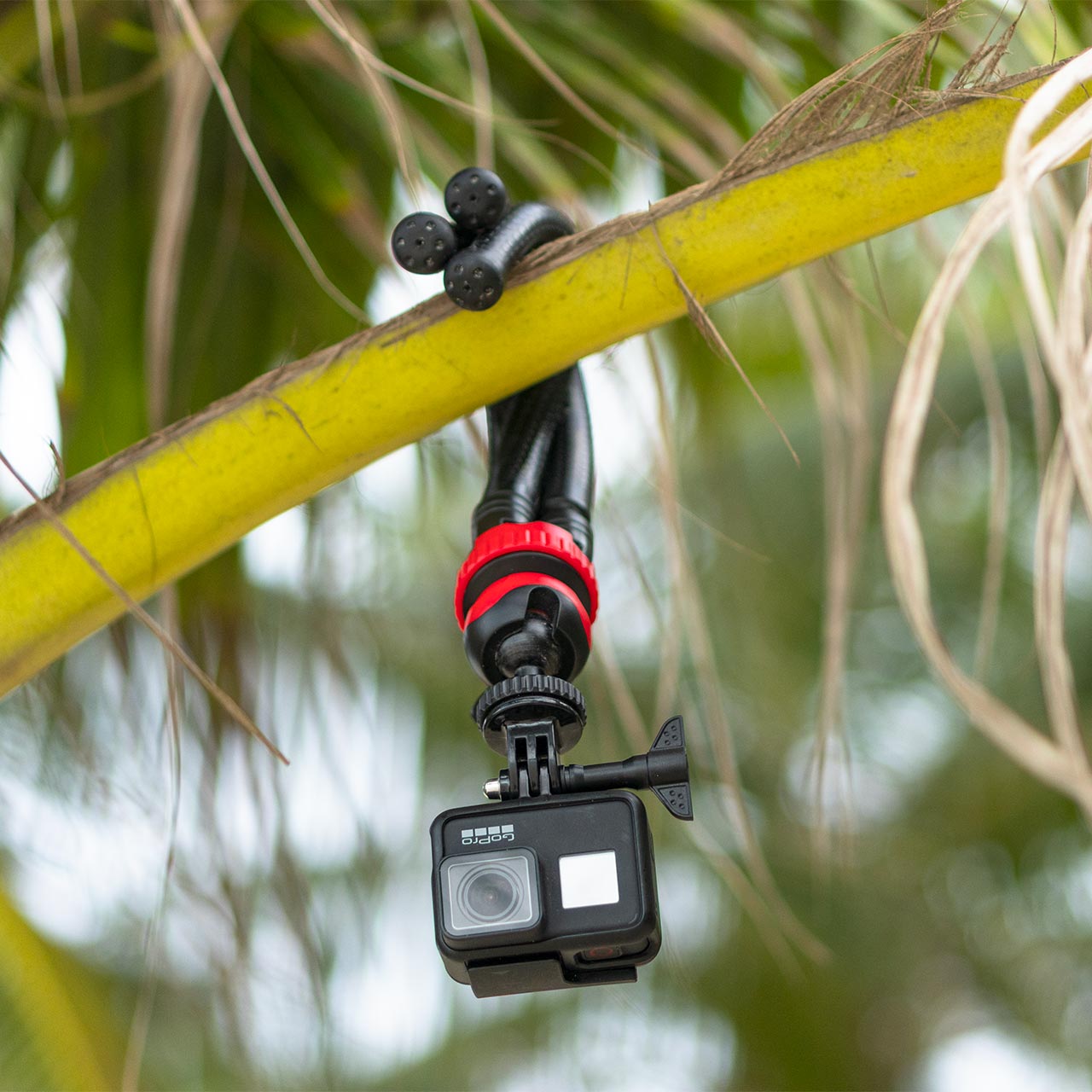 Flexible Tripod with Phone Mount | Spivo